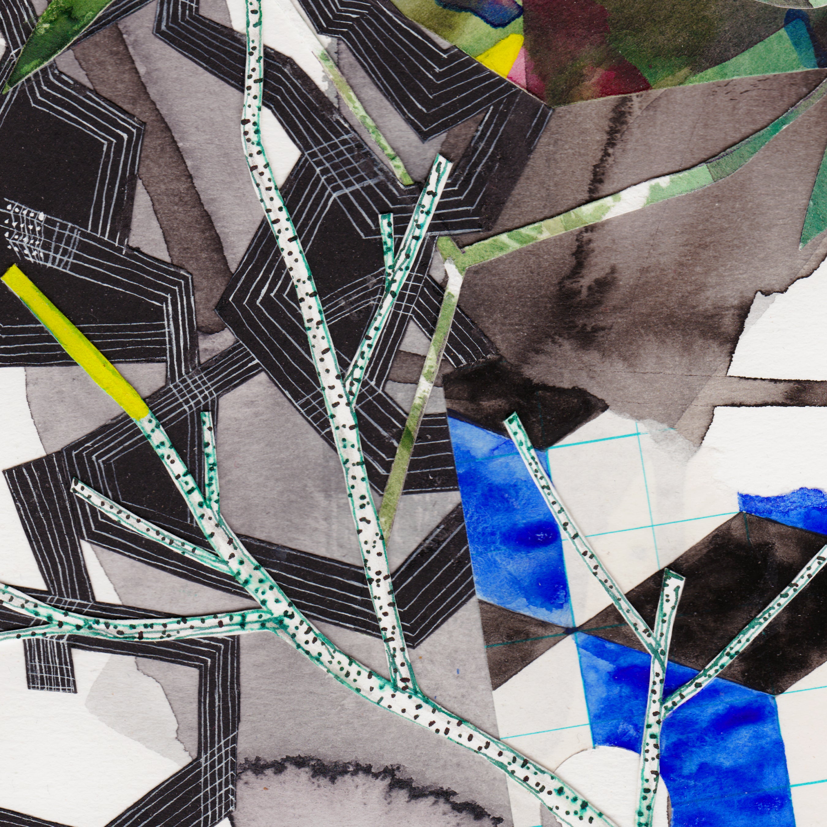 Stephanie Snider – Davis Editions